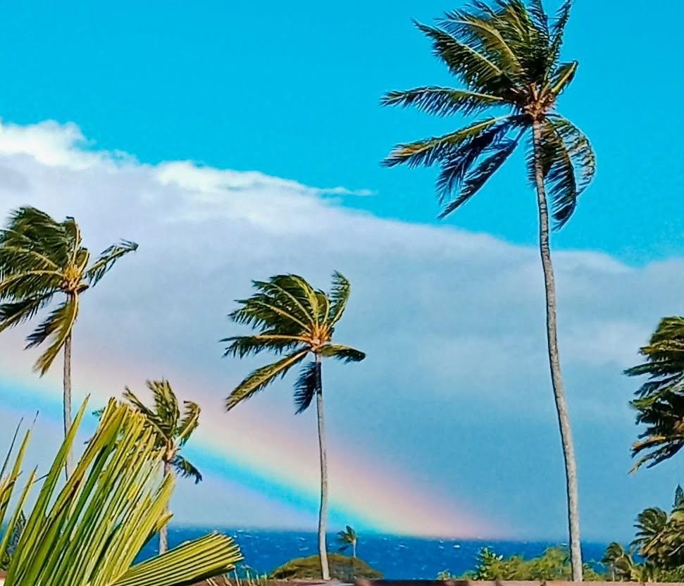Napili Ridge condos for sale in Napili | Maui