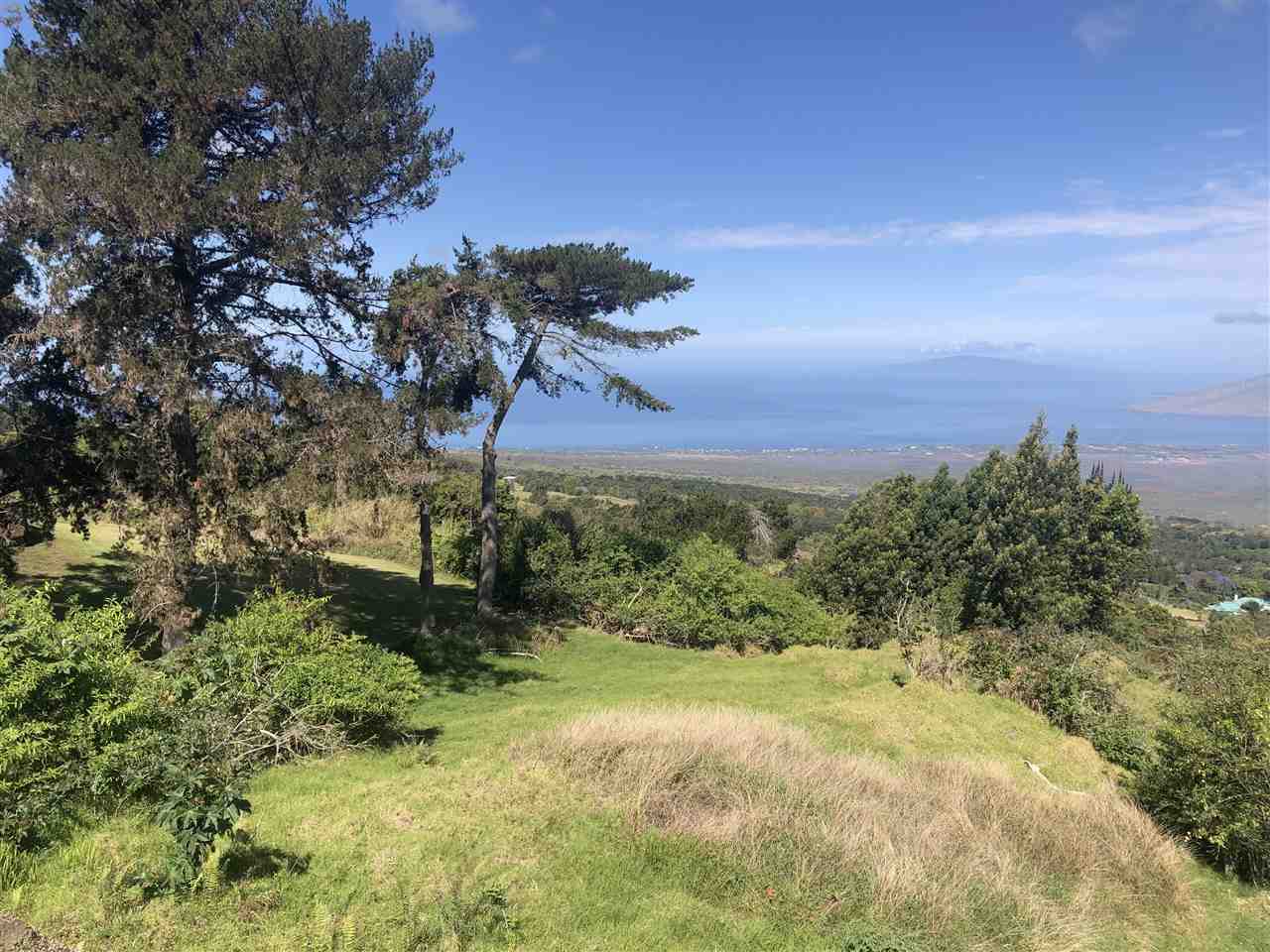 1247 Middle Rd , Kula, Hi 96790