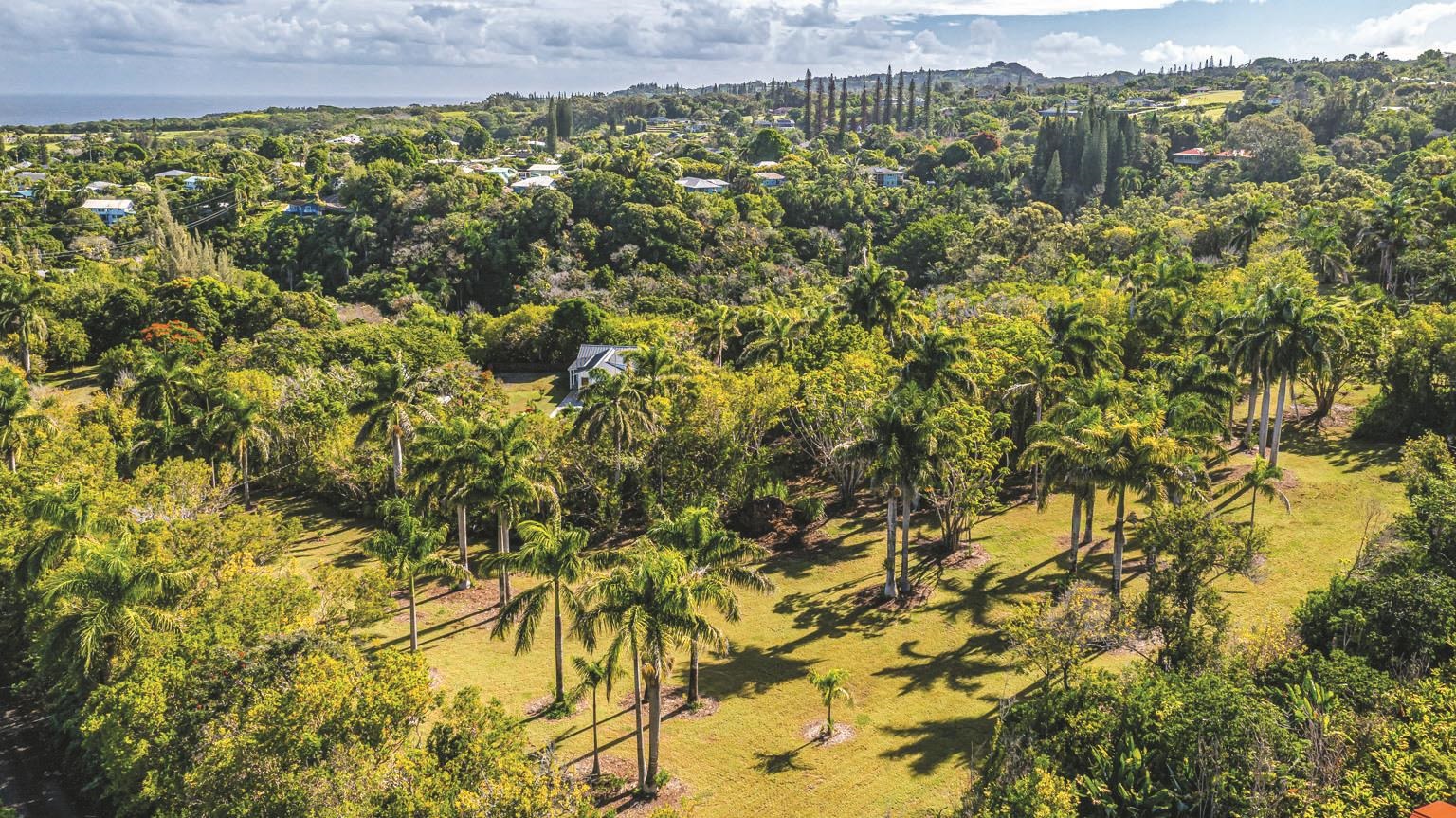 1300 Haiku Rd , Haiku, Hi 96708