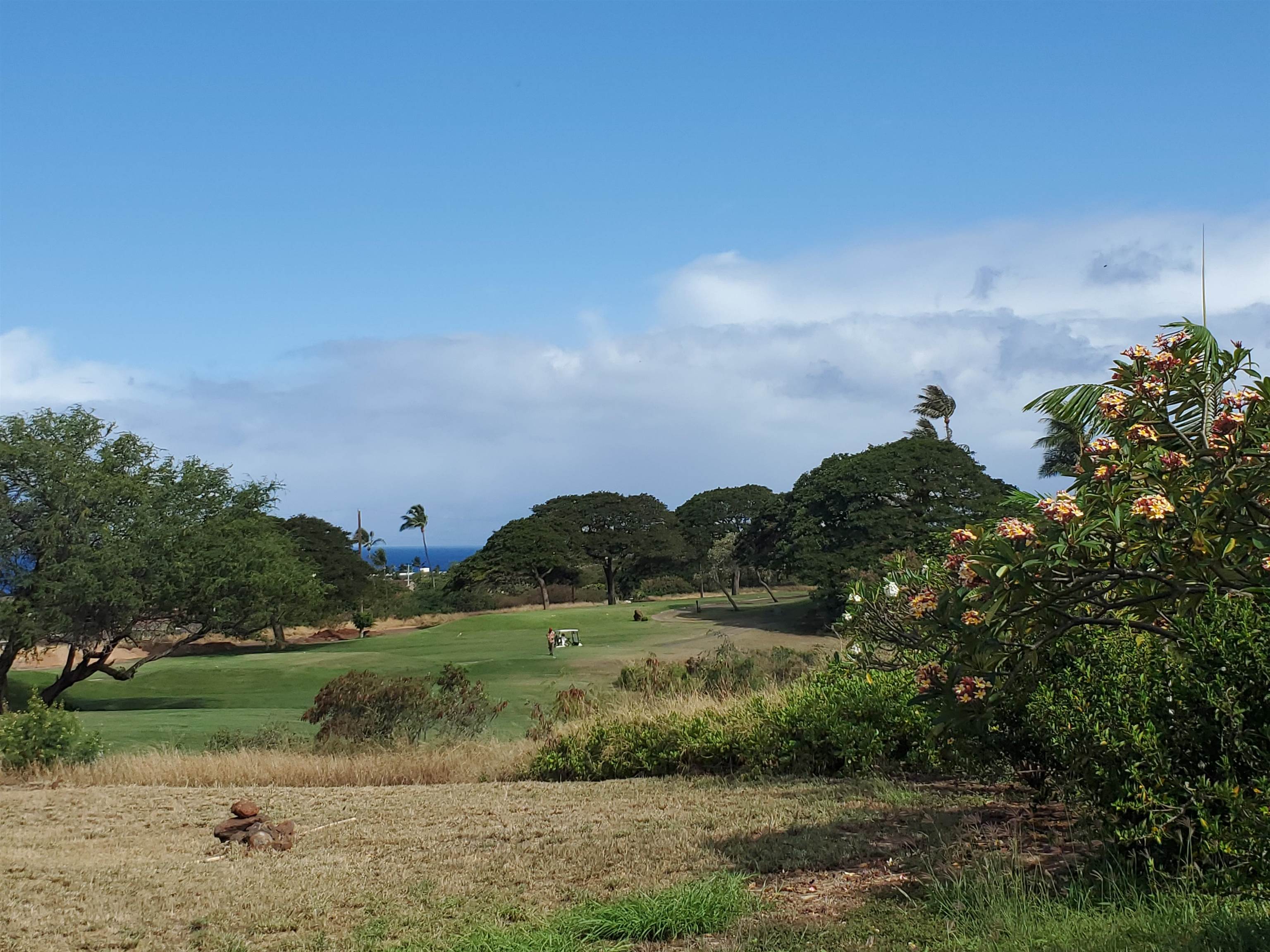 144 Anapuni Loop 8, Lahaina, Hi 96761 - Kaanapali Golf Estates