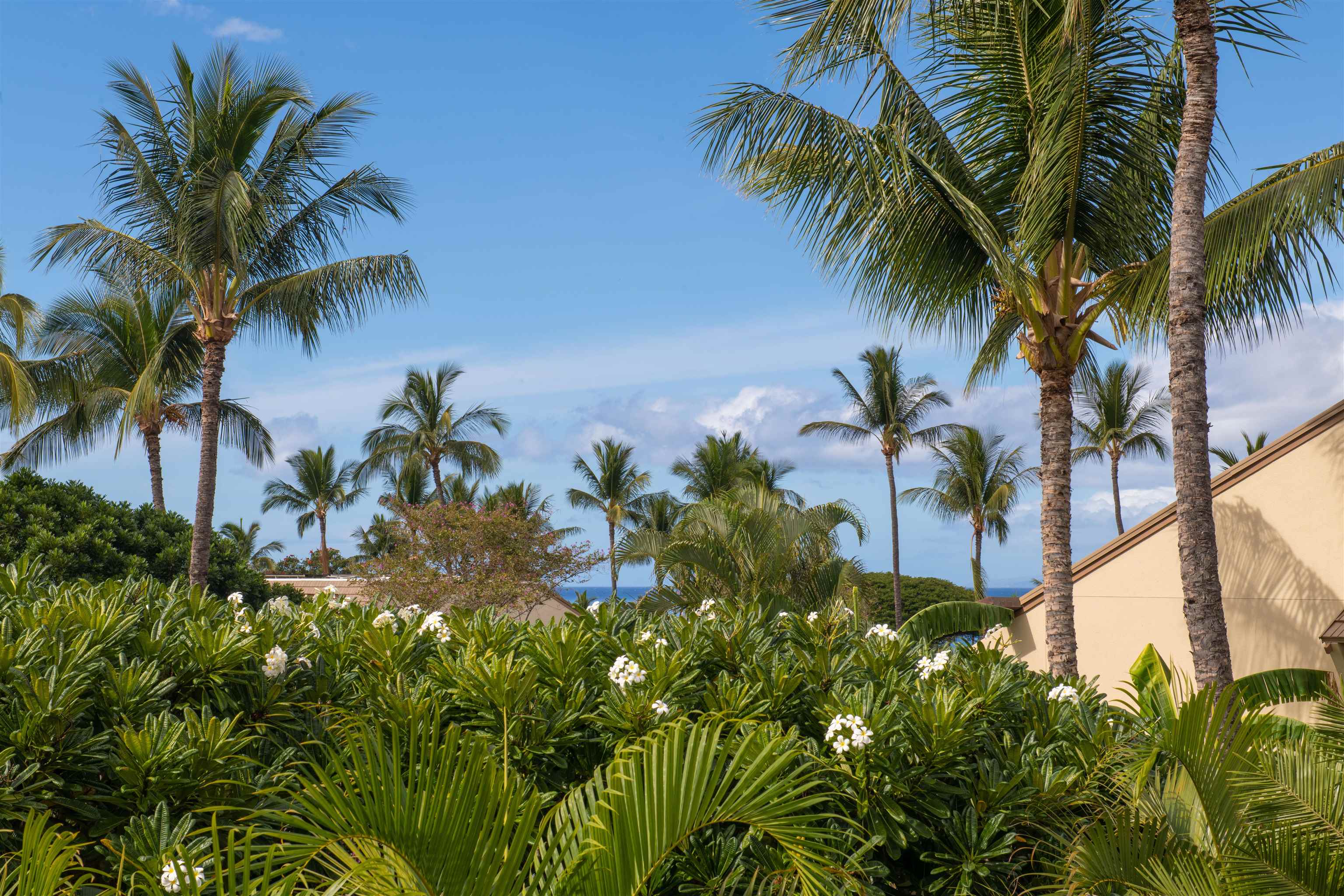 Maui Kamaole #K-209, 2777 Kihei Rd, Kihei | Keawakapu