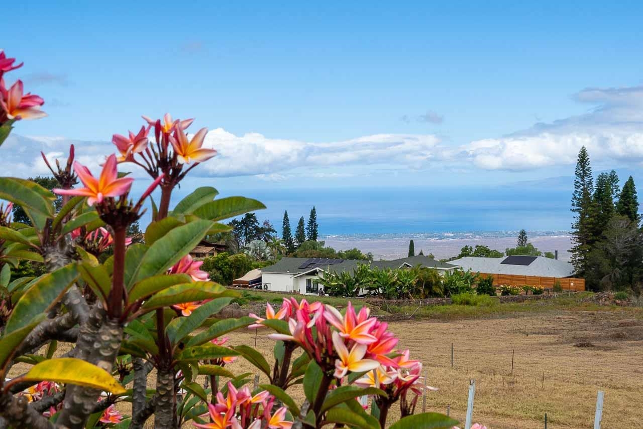 285 Mauna Pl , Kula, Hi 96790-7943 | Kula