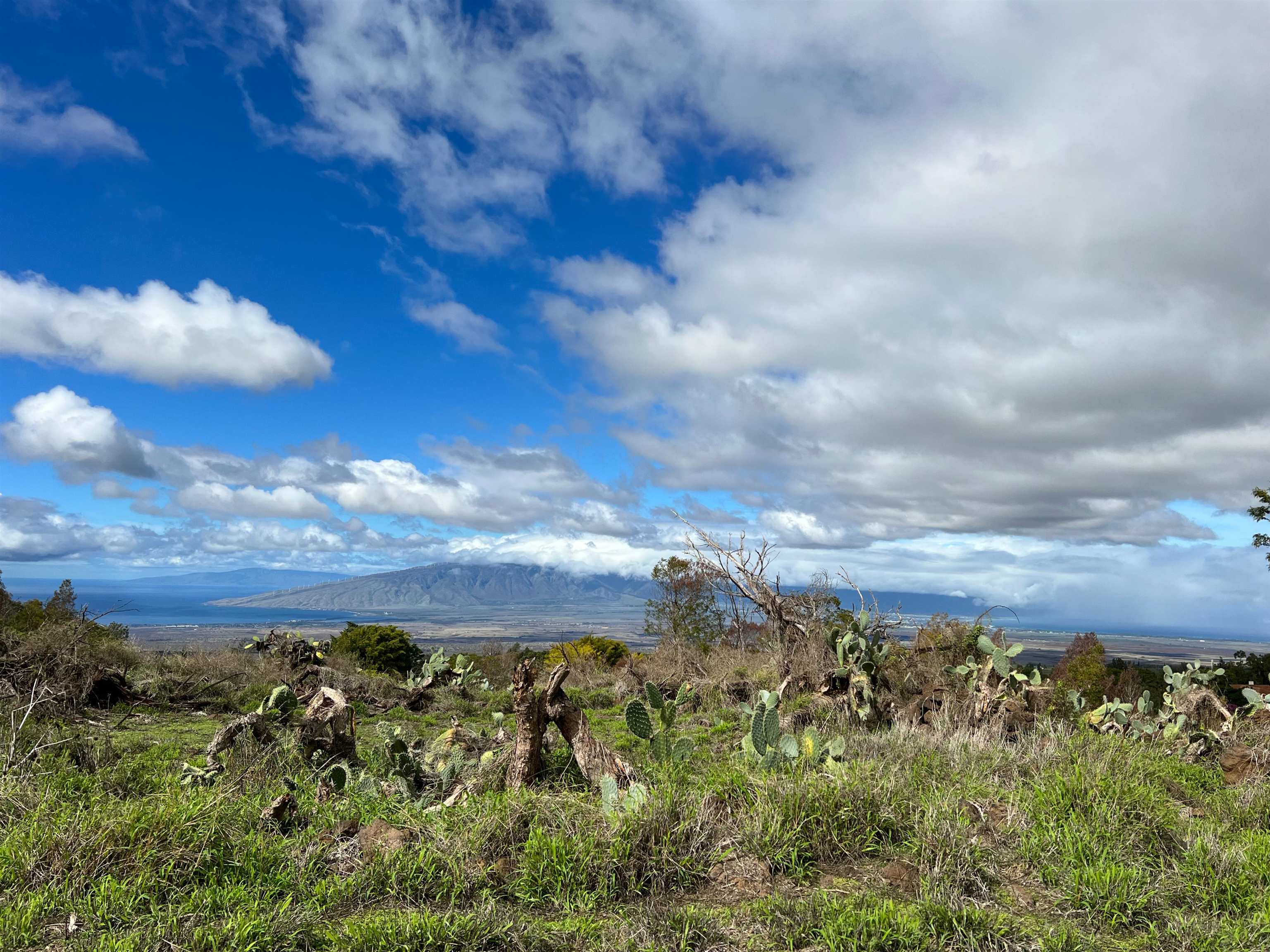 3402 Lower Kula Rd , Kula, Hi 96790-8734 | Lower Kula