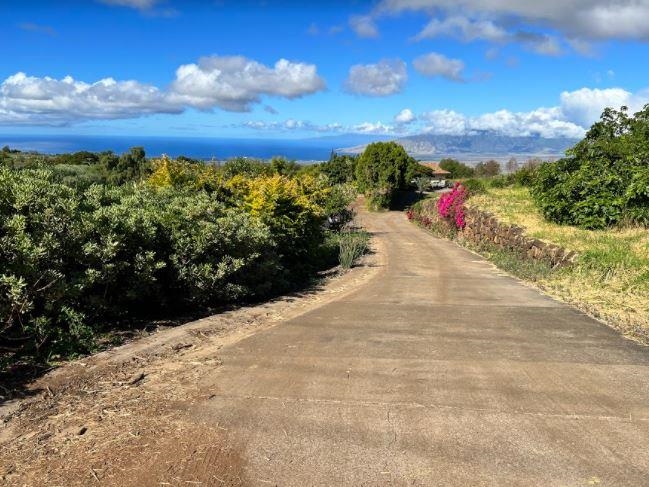 3410 Lower Kula Rd , Kula, Hi 96790-8734 - Lower Kula