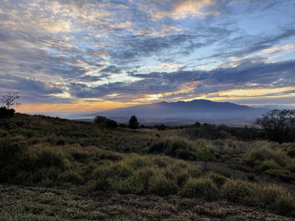 619 Omaopio Rd 1-C, Kula, Hi 96790-8841