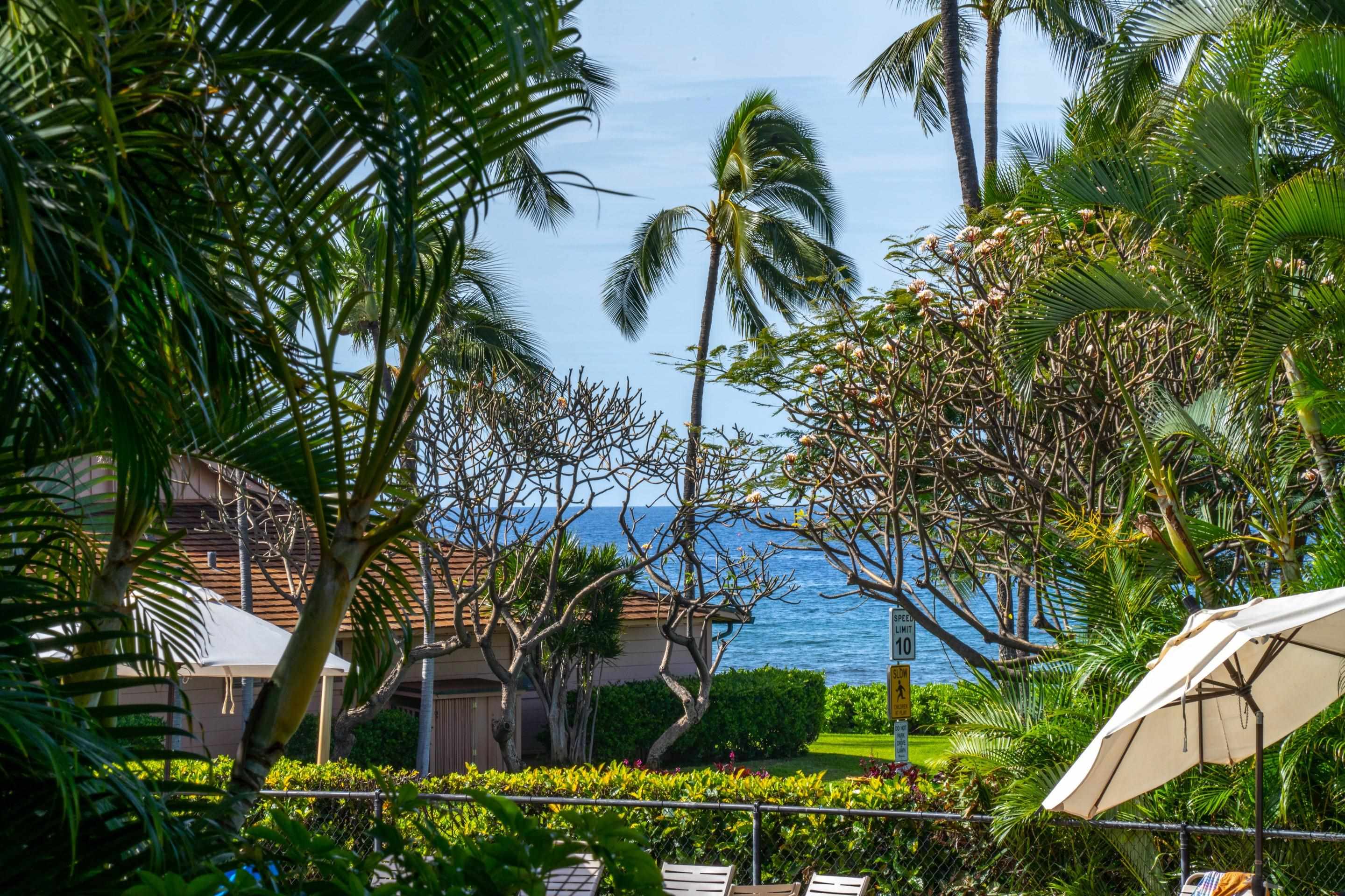 Puamana # 62-1, 62-1 Puakukui Pl, Lahaina | Lahaina Town condo