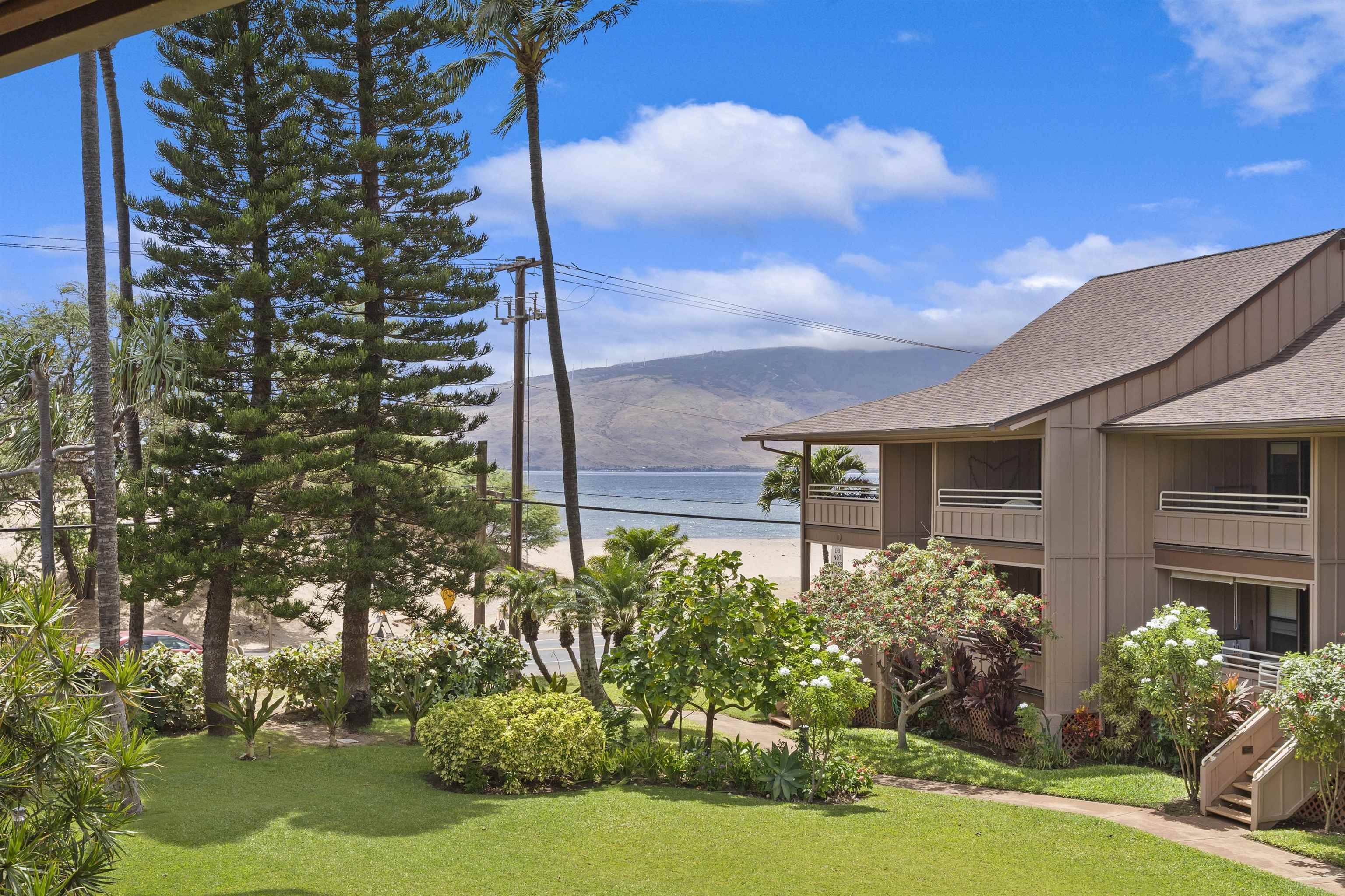 Kihei Bay Vista #A201, 679 Kihei Rd, Kihei | Kalepolepo