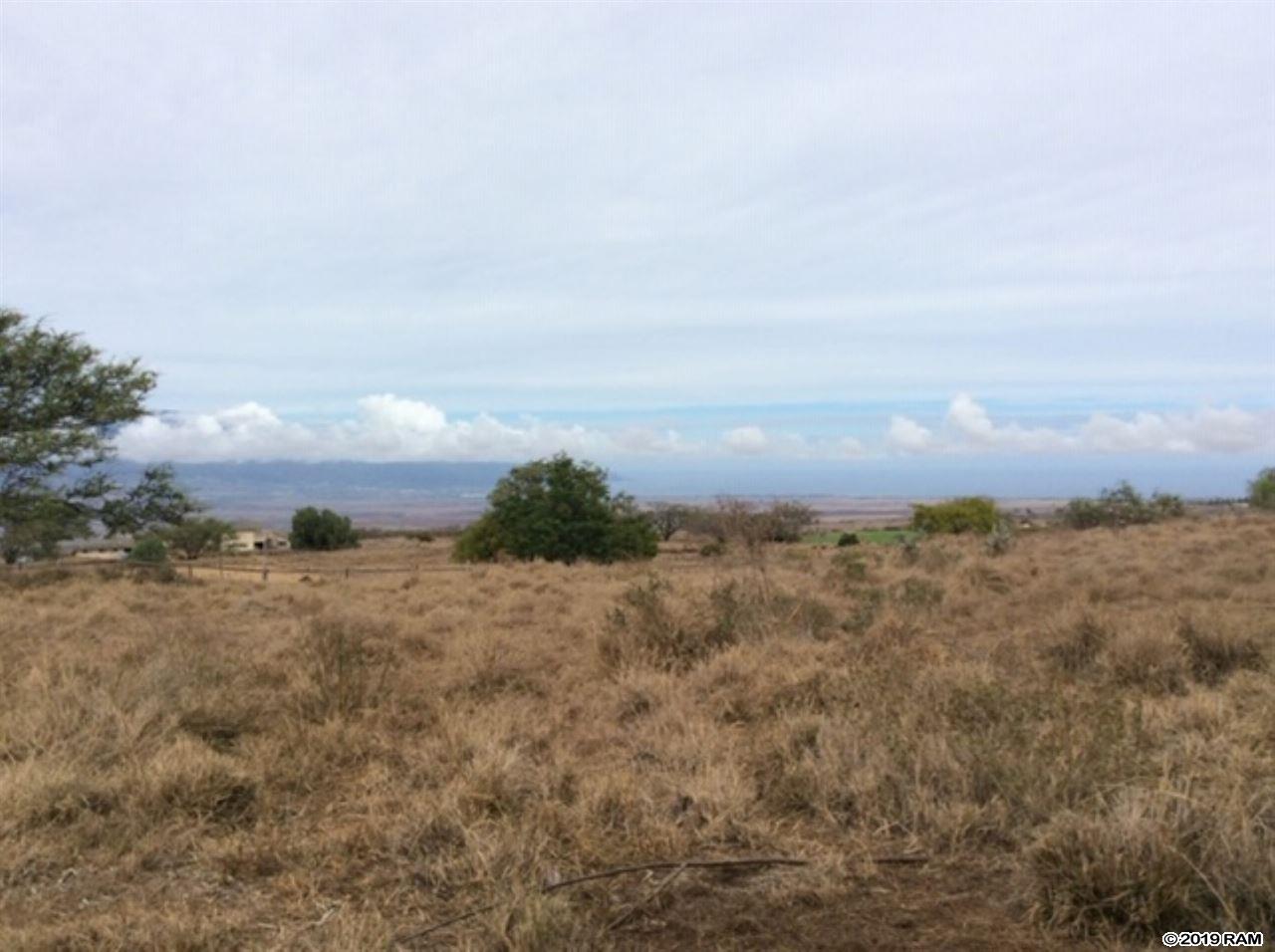 Calasa Rd , Kula, Hi 96790 - Kula